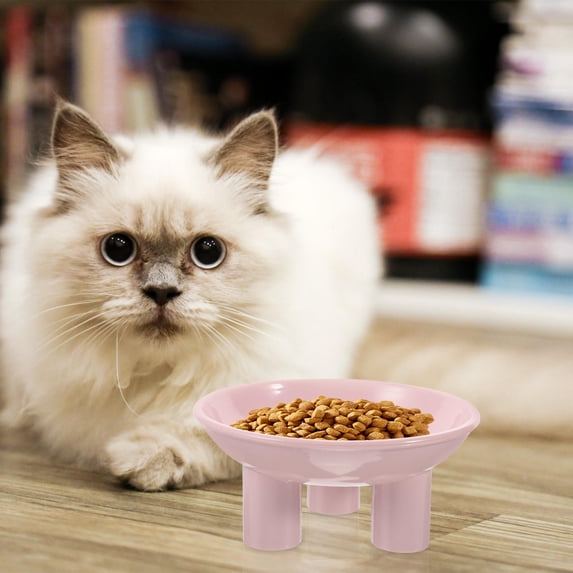BESTYASH Pink Raised Cat Bowl with Angled Design and Wear Resistant ...