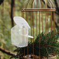 BESTYASH Practical Transparent Bird Cage Food Holder Stable Material ...