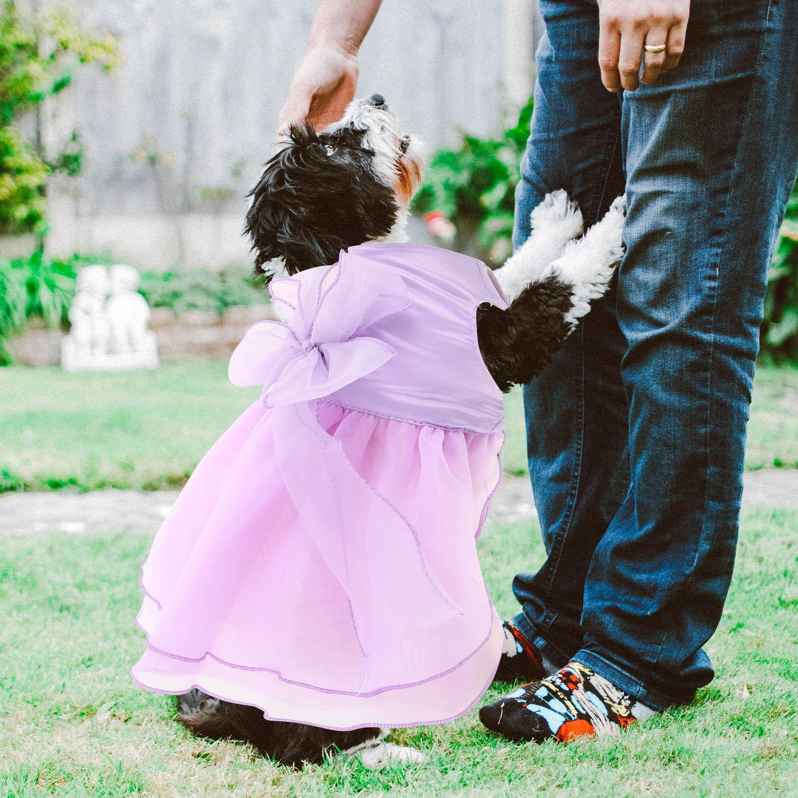 BESTYASH Purple Dog Dress with Elegant Bow Soft Material for Wedding ...