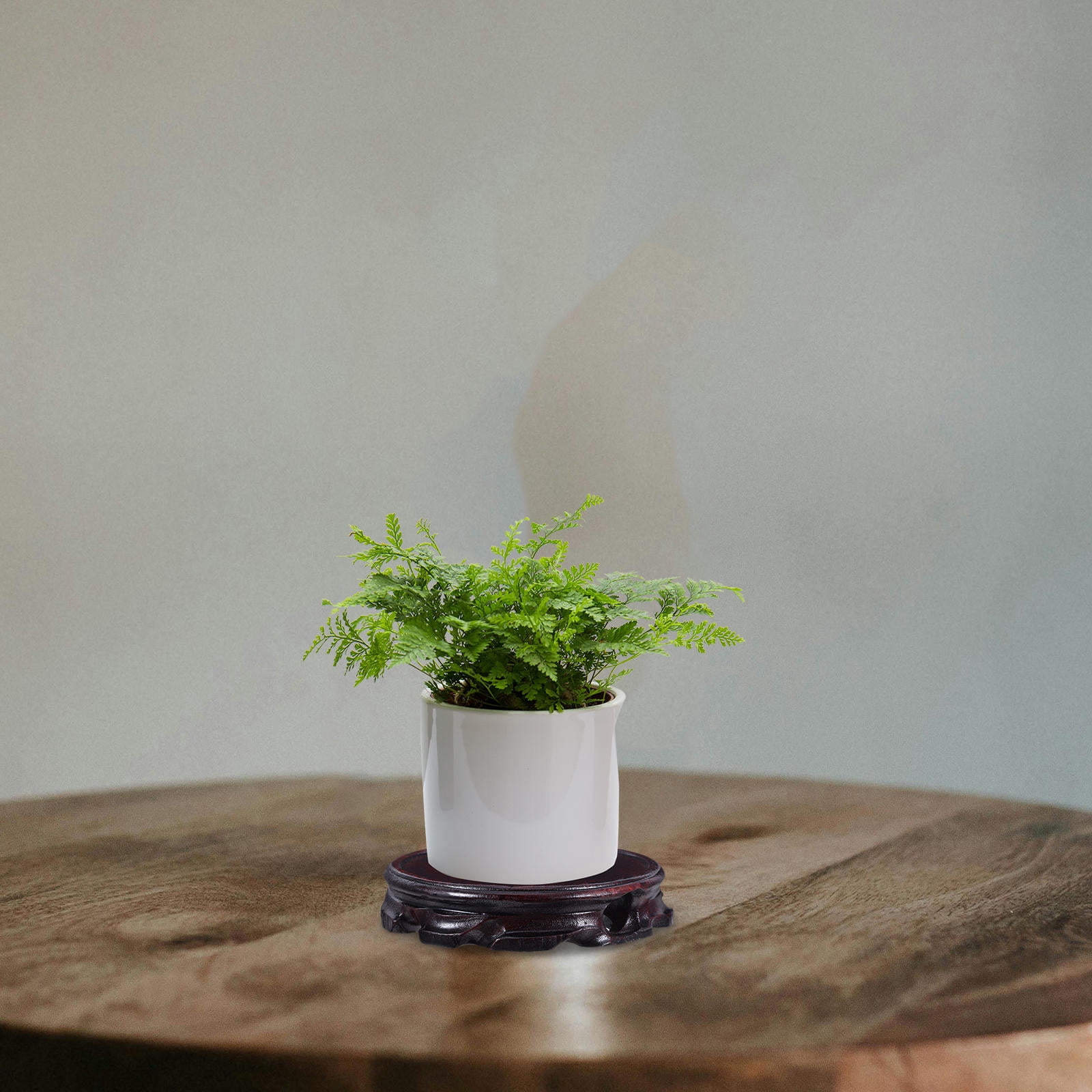 BESTYASH Round Wood Stand for Plant Support and Vase Display Light ...