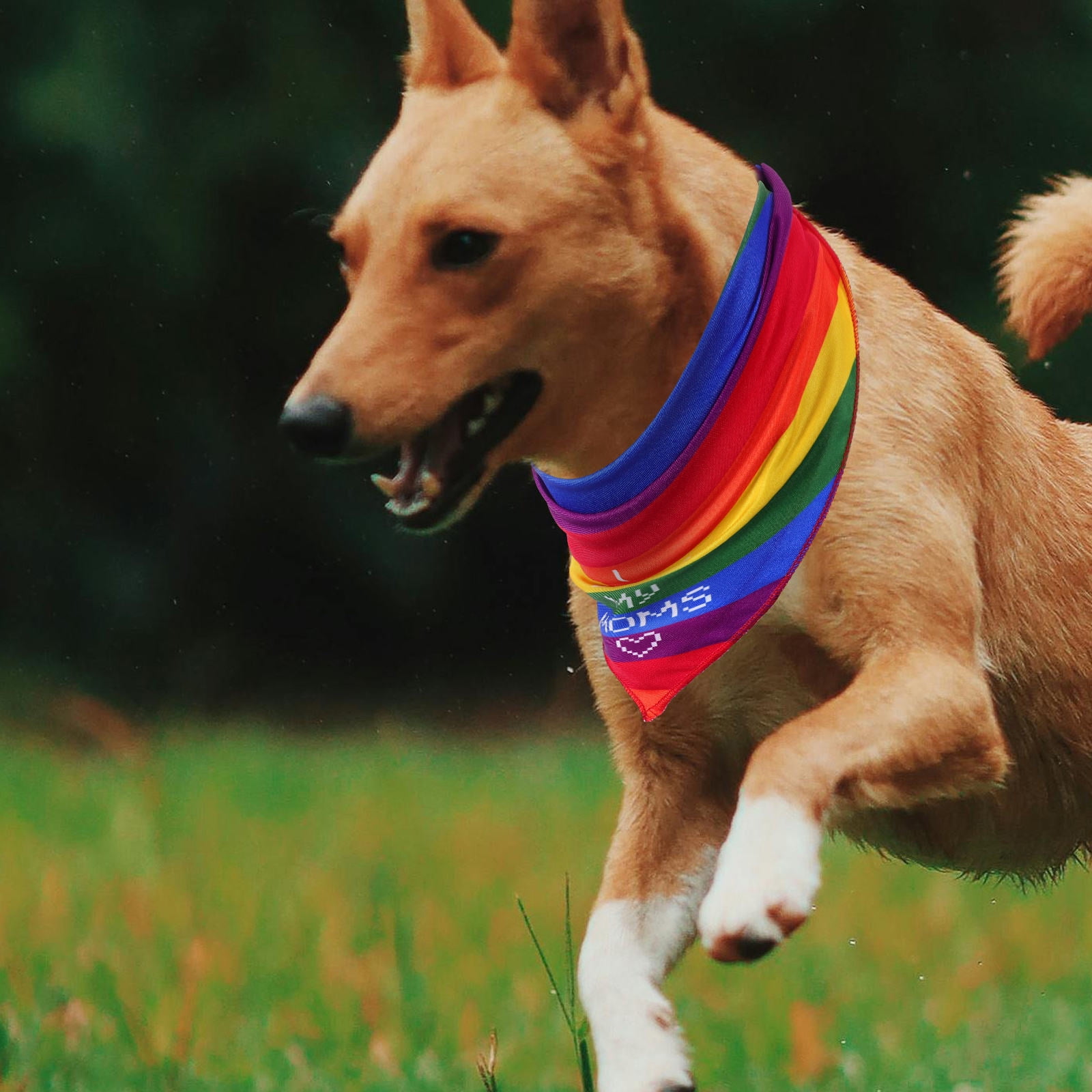 BESTYASH Versatile Pride Dog Bandana and Scarf Soft Material Pet ...