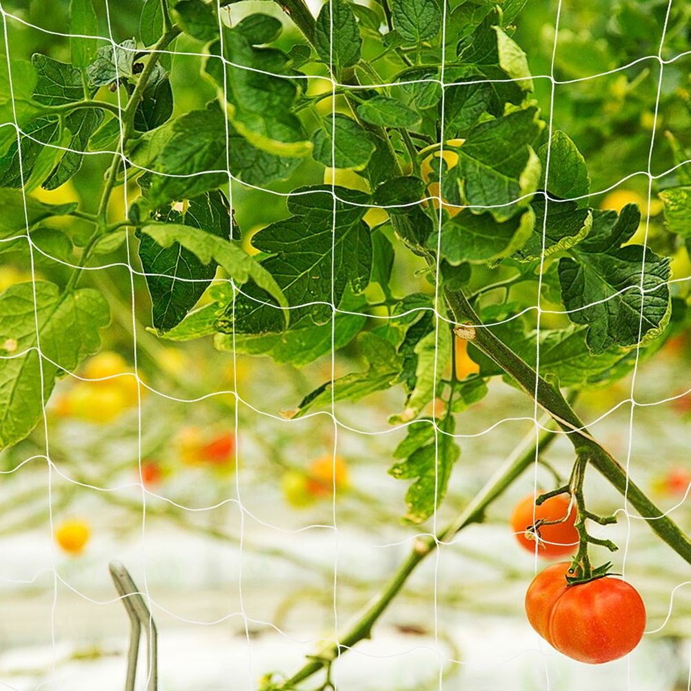 BESTYASH White Plant Support Vine Net for Climbing Plants Outdoor Ideal ...