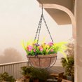BESTYASH Wooden Wall Hook for Hanging Plants Coffee Solid Wood Indoor ...