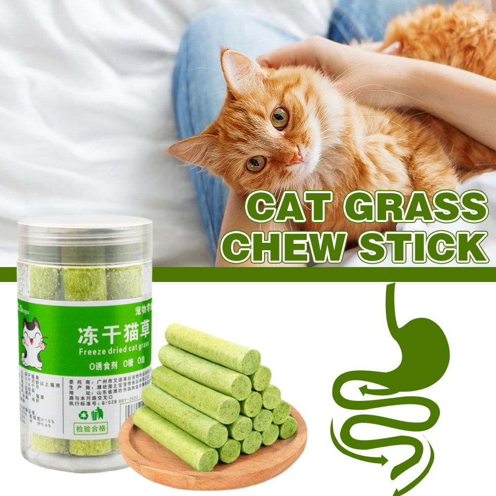 BETTERLIFE 1 Cat Grass Sticks for Indoor Cat Grass Chew Sticks Teeth ...