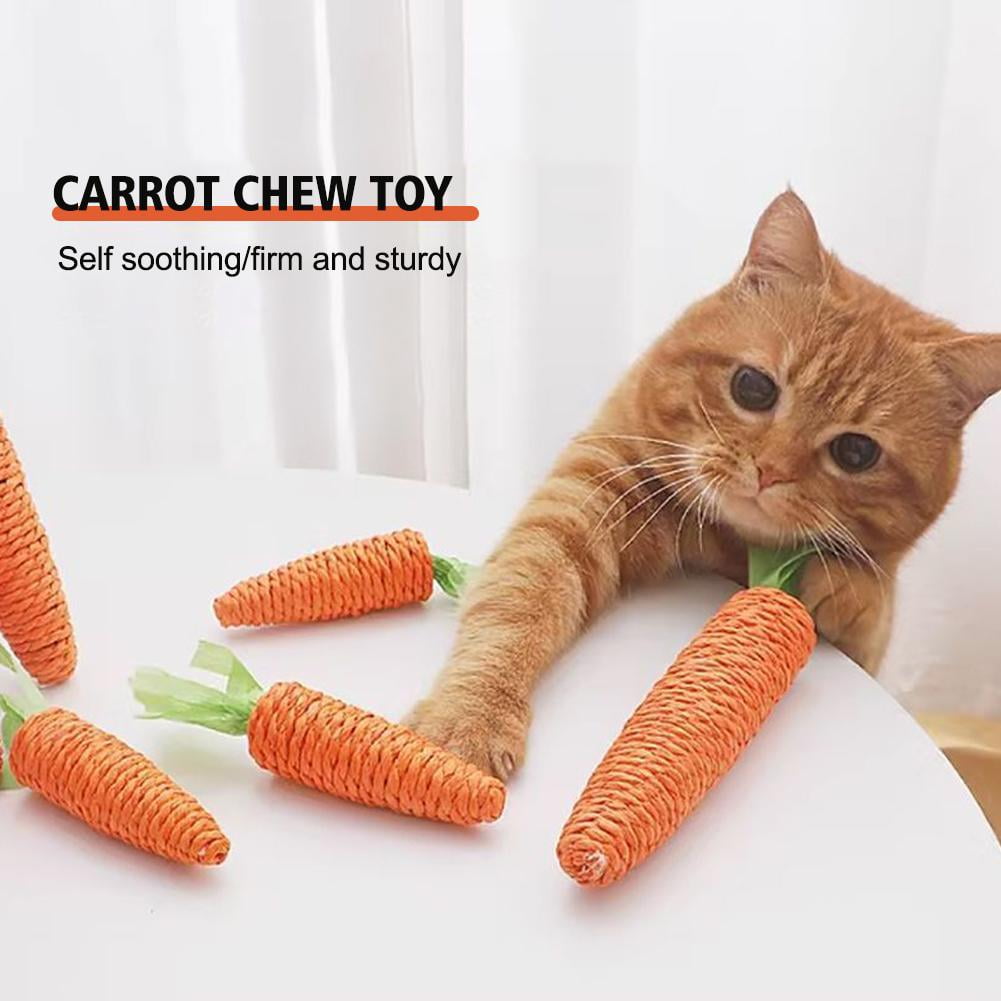 BETTERLIFE Cat Toys Sound Carrot Cuddle Cat Stick Since Fun Fun ...