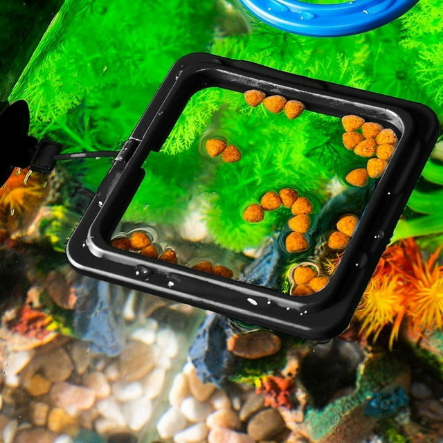 BETTERLIFE Feeding Aquarium Fish Tank Station Floating Food Feeder Tool ...