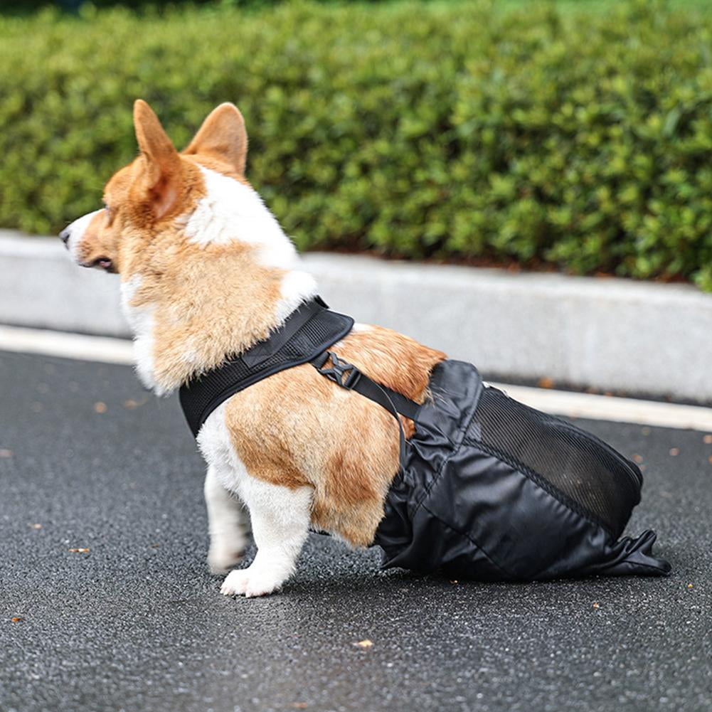 BETTERLIFE Paralyzed Rear Legs Pets Drag Bag Breathable Dog Cat ...