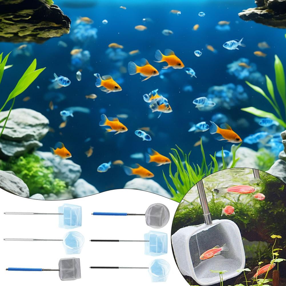 BETTERLIFE Retractable Long Handle Shrimp Tank Landing Net Tool ...