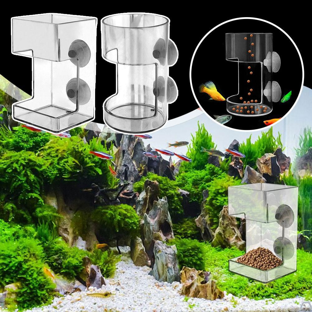 BETTERLIFE Round (floating (A) $Parrot fish turtle fish tank fish food ...