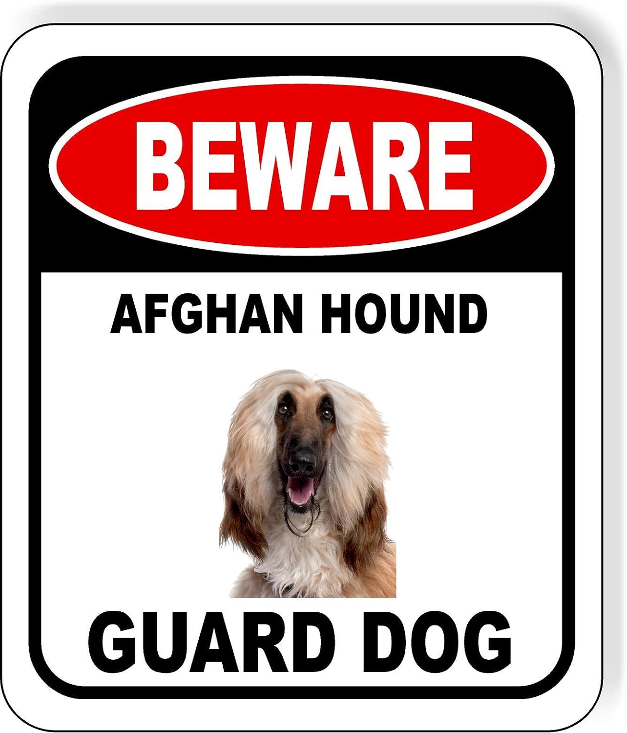BEWARE AFGHAN HOUND GUARD DOG Aluminum Composite Outdoor Sign 12" x16 ...