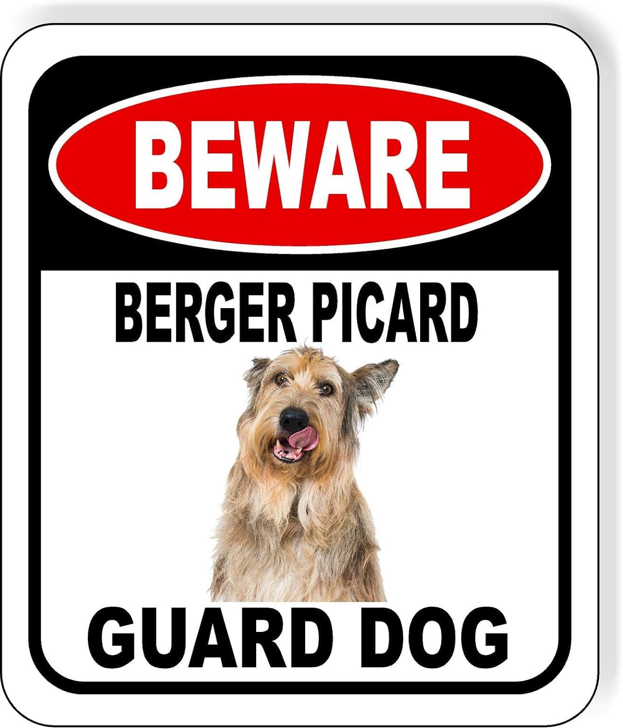 BEWARE BERGER PICARD GUARD DOG Aluminum Composite Outdoor Sign 12" x16 ...