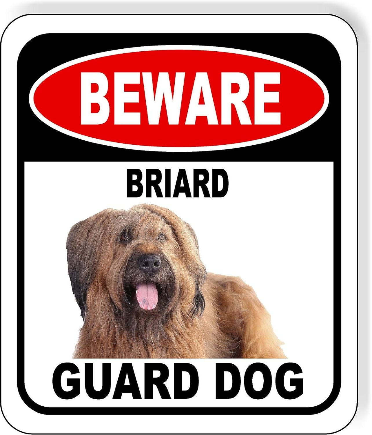 BEWARE BRIARD GUARD DOG Aluminum Composite Outdoor Sign 8" x12" Metal ...