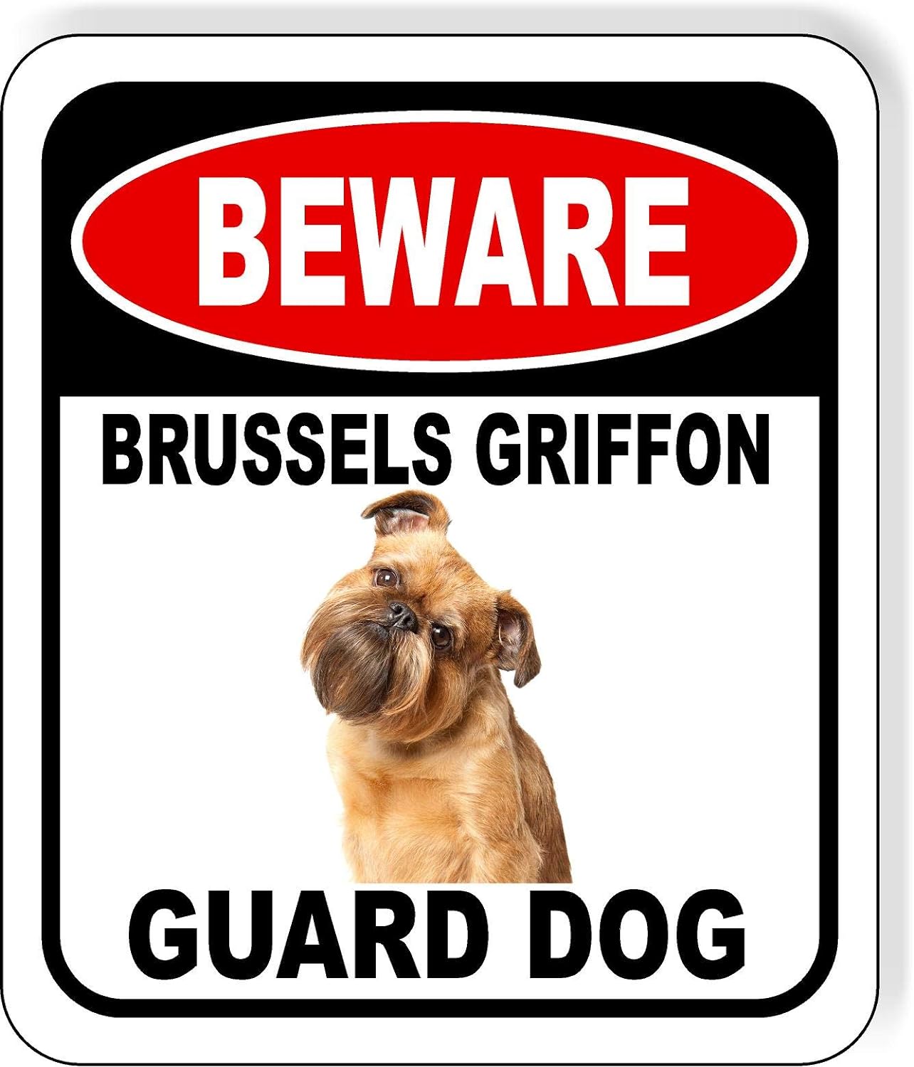BEWARE BRUSSELS GRIFFON GUARD DOG Aluminum Composite Outdoor Sign 8 ...