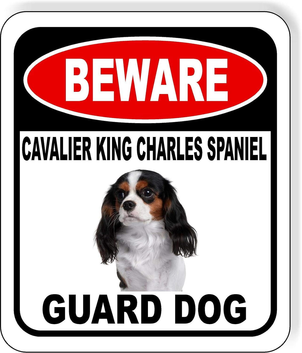 BEWARE CAVALIER KING CHARLES SPANIEL GUARD DOG Aluminum Composite ...