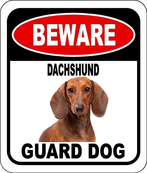 BEWARE DACHSHUND GUARD DOG Aluminum Composite Outdoor Sign 12" x16 ...