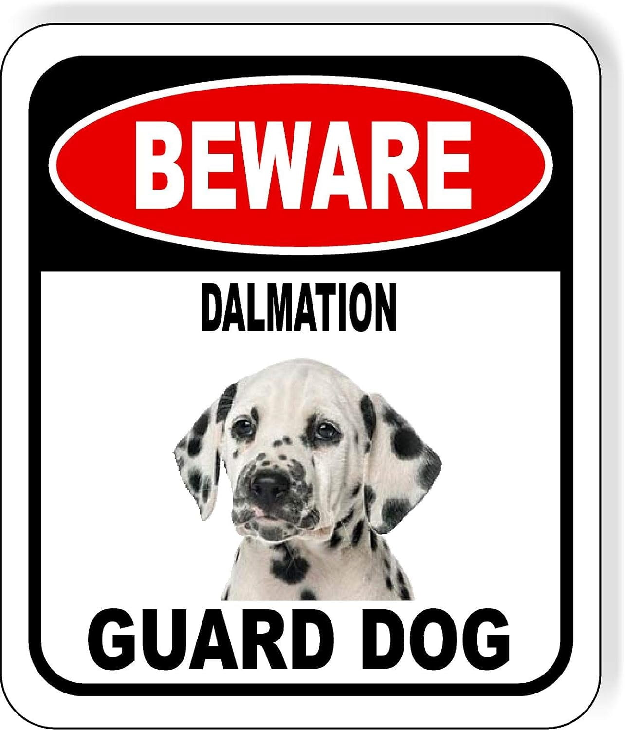 BEWARE DALMATION GUARD DOG Aluminum Composite Outdoor Sign 8" x12 ...
