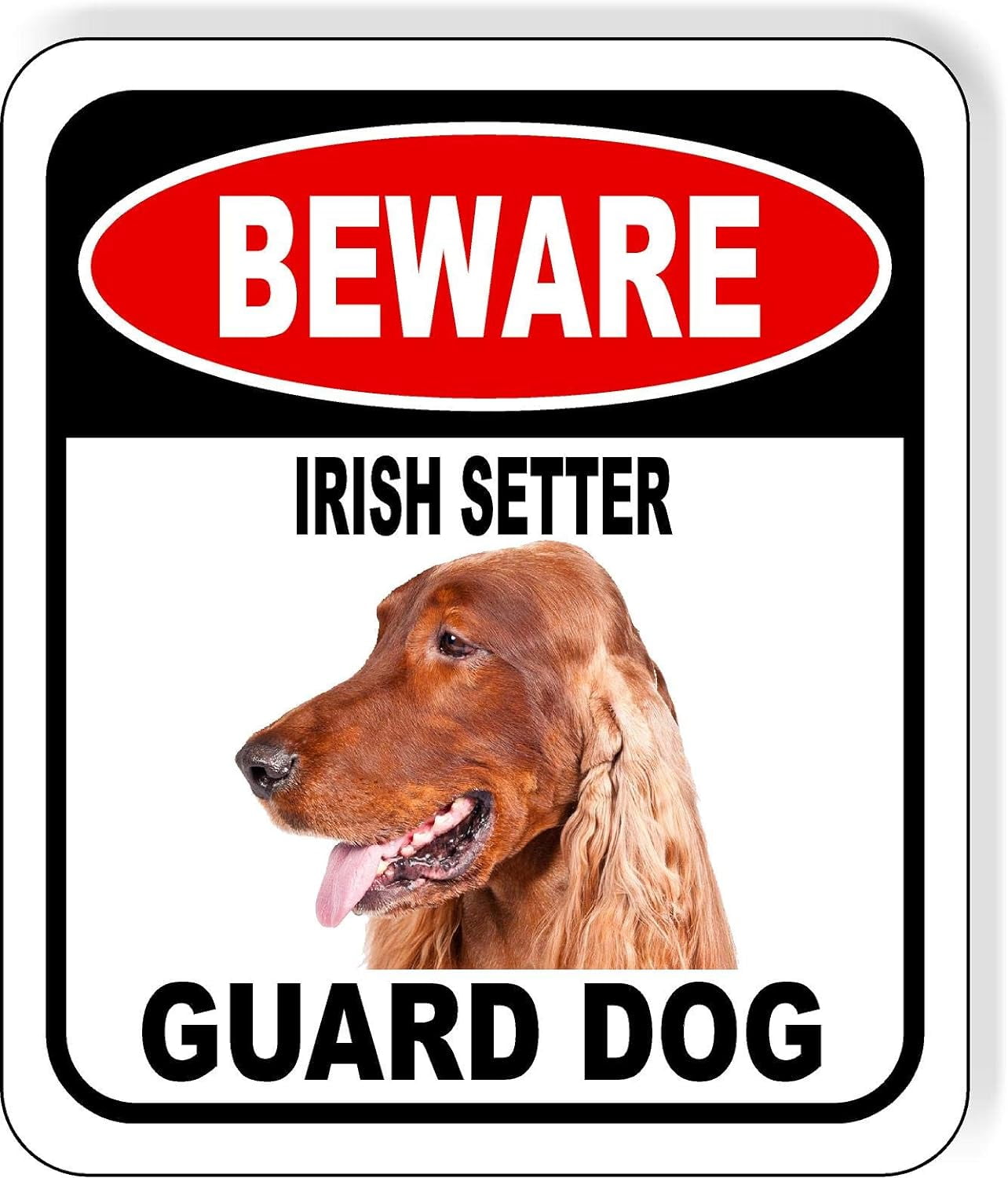BEWARE IRISH SETTER GUARD DOG Aluminum Composite Outdoor Sign 12" x16 ...
