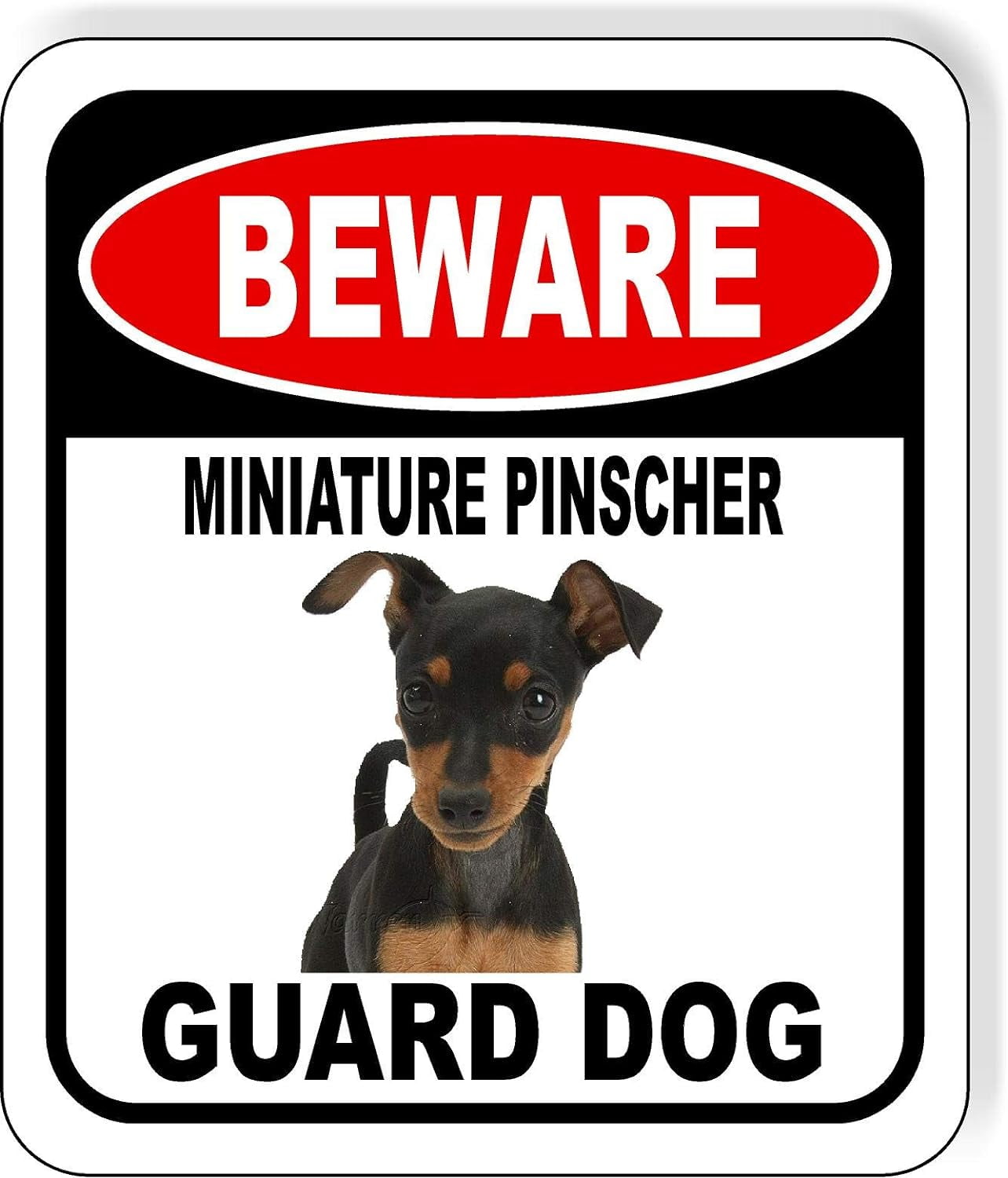 BEWARE MINIATURE PINSCHER GUARD DOG Aluminum Composite Outdoor Sign 12 ...