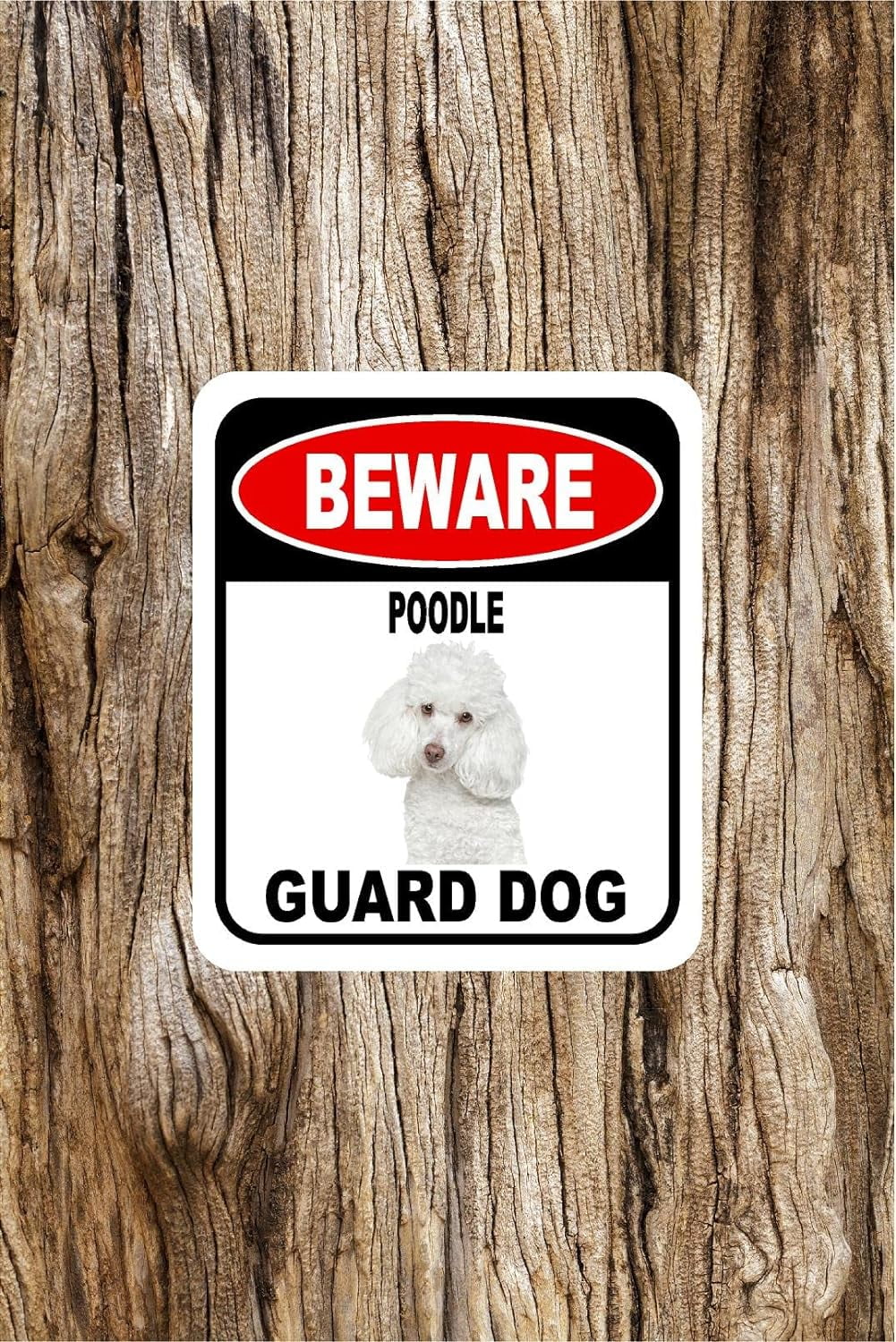 BEWARE POODLE GUARD DOG Aluminum Composite Outdoor Sign 12" x16" Metal ...