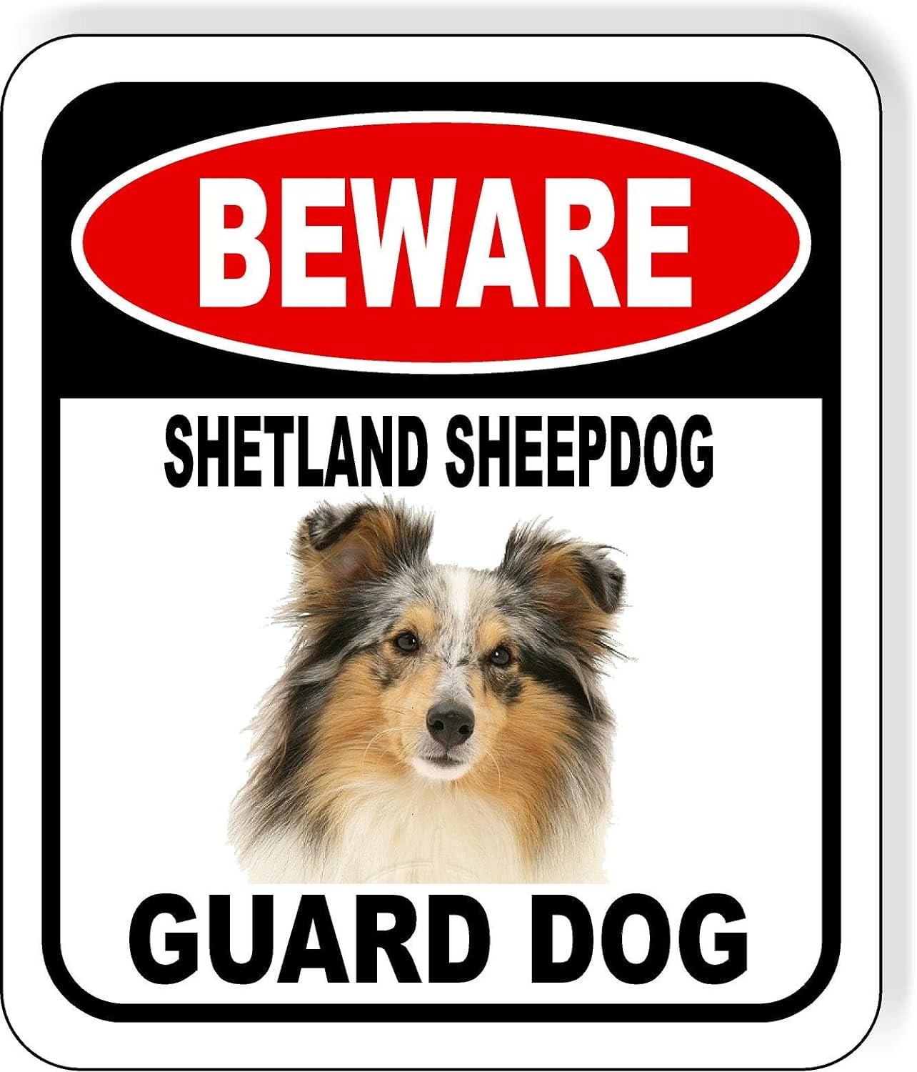 BEWARE SHETLAND SHEEPDOG GUARD DOG Aluminum Composite Outdoor Sign 8 ...