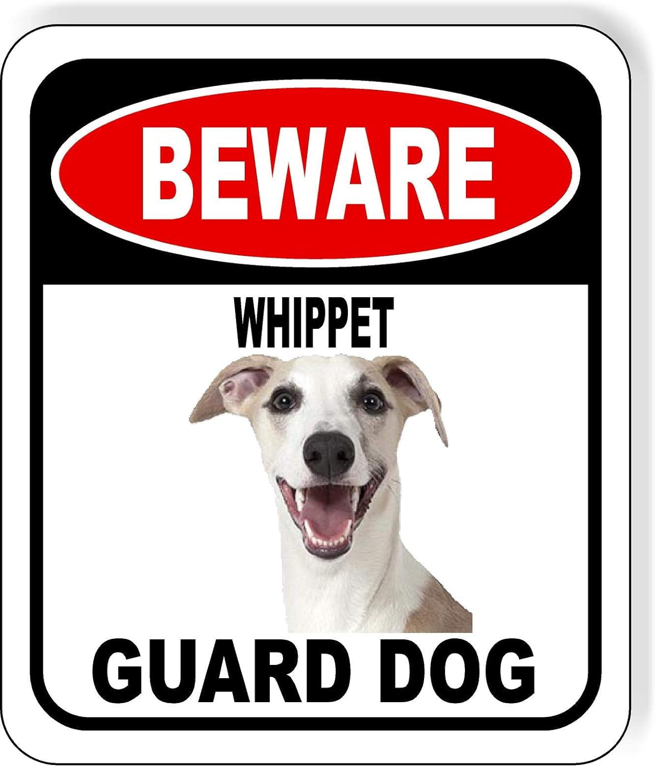 BEWARE WHIPPET GUARD DOG Aluminum Composite Outdoor Sign 12" x16" Metal ...
