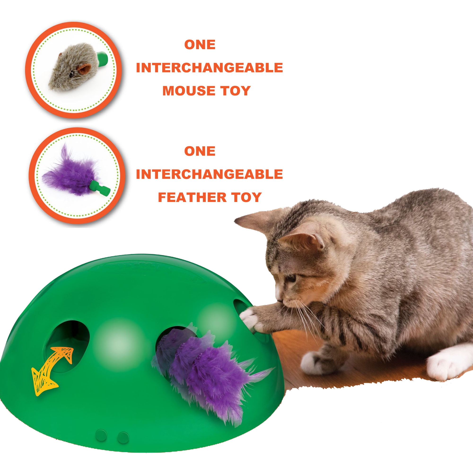 Electric Cat Toy, Interactive Indoor Kitty Chaser, Automatic Pop-up ...