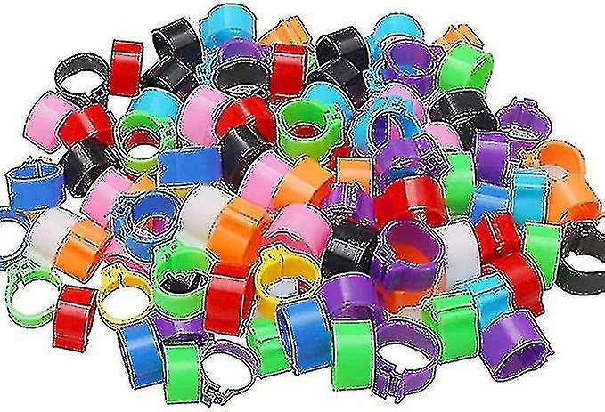 BFCITY Hen Ring Leg Rings Identification 20mm Plastic Colored Chicken ...