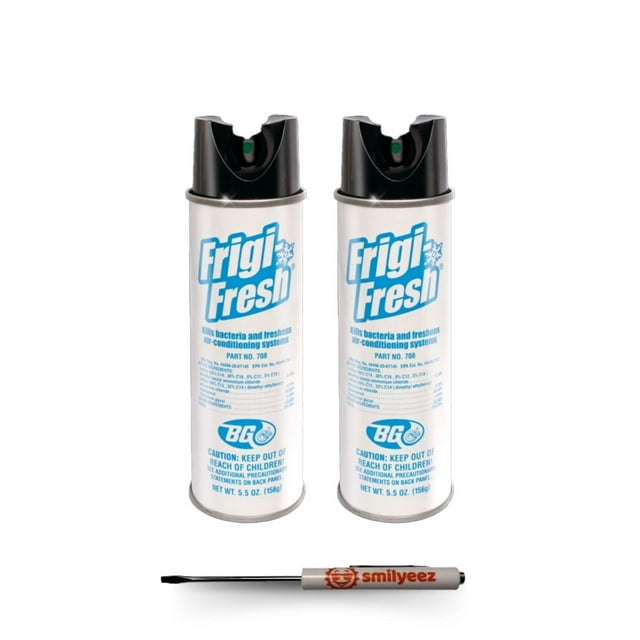 BG Frigi-Fresh Automotive Air Conditioning Cleaner and Freshener (5.5 ...