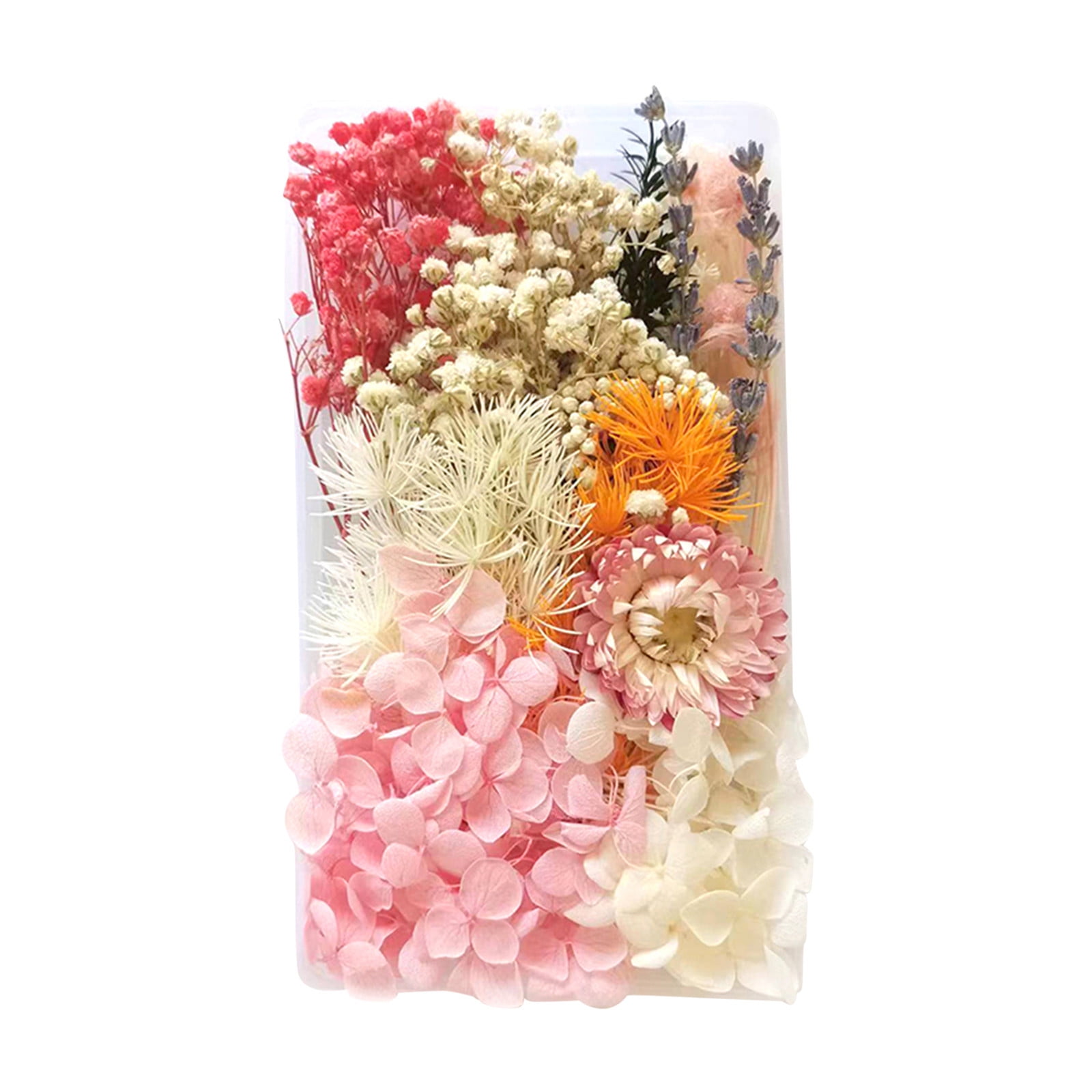 Dried Orange Flowers 40PCS Natural Dried Daisy Mums - 16.9in Orange ...