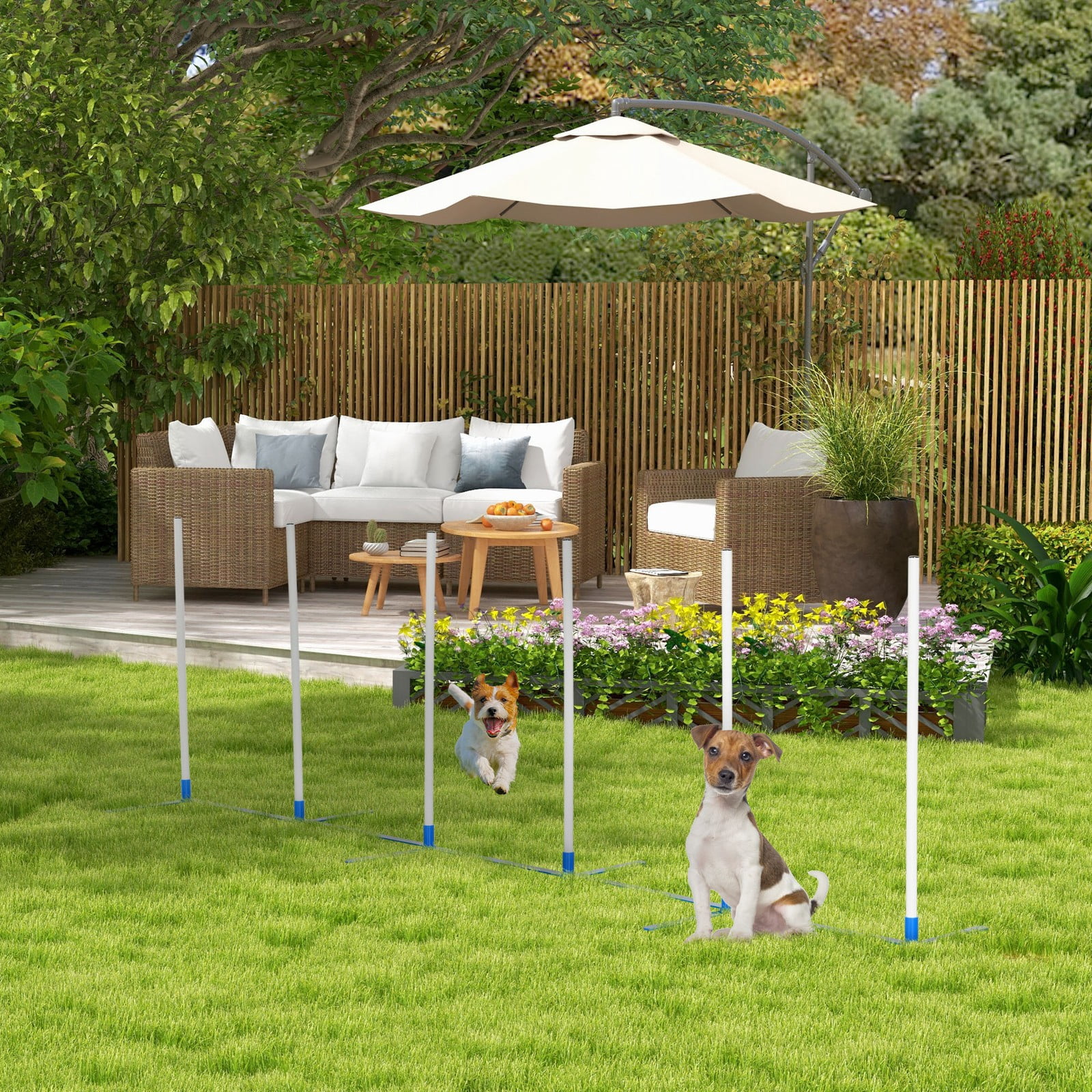 BHUIK Dog Agility Weave Pole Set – Outdoor Pet Training Starter Kit for ...