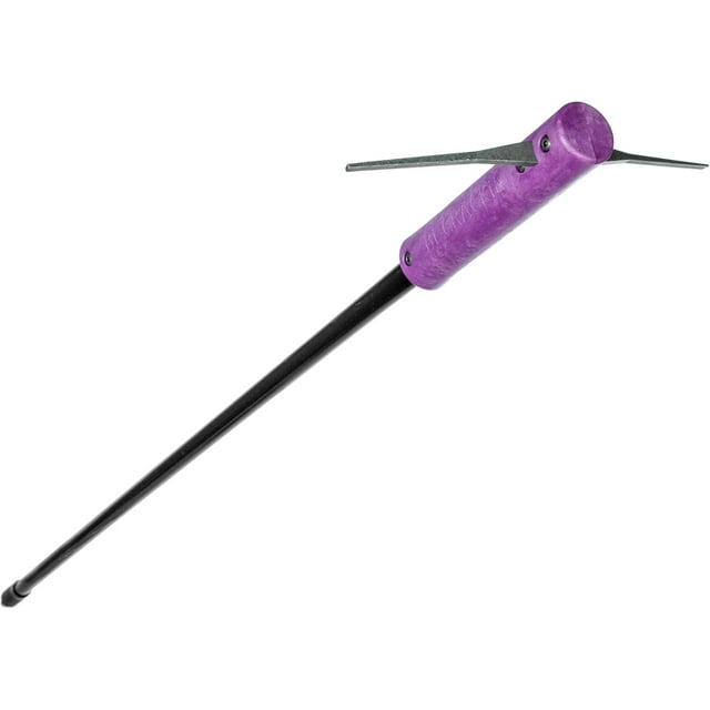 BICRACKIE Weeding Tool for Patios, Driveways, Sidewalks & Pavers; 60 ...