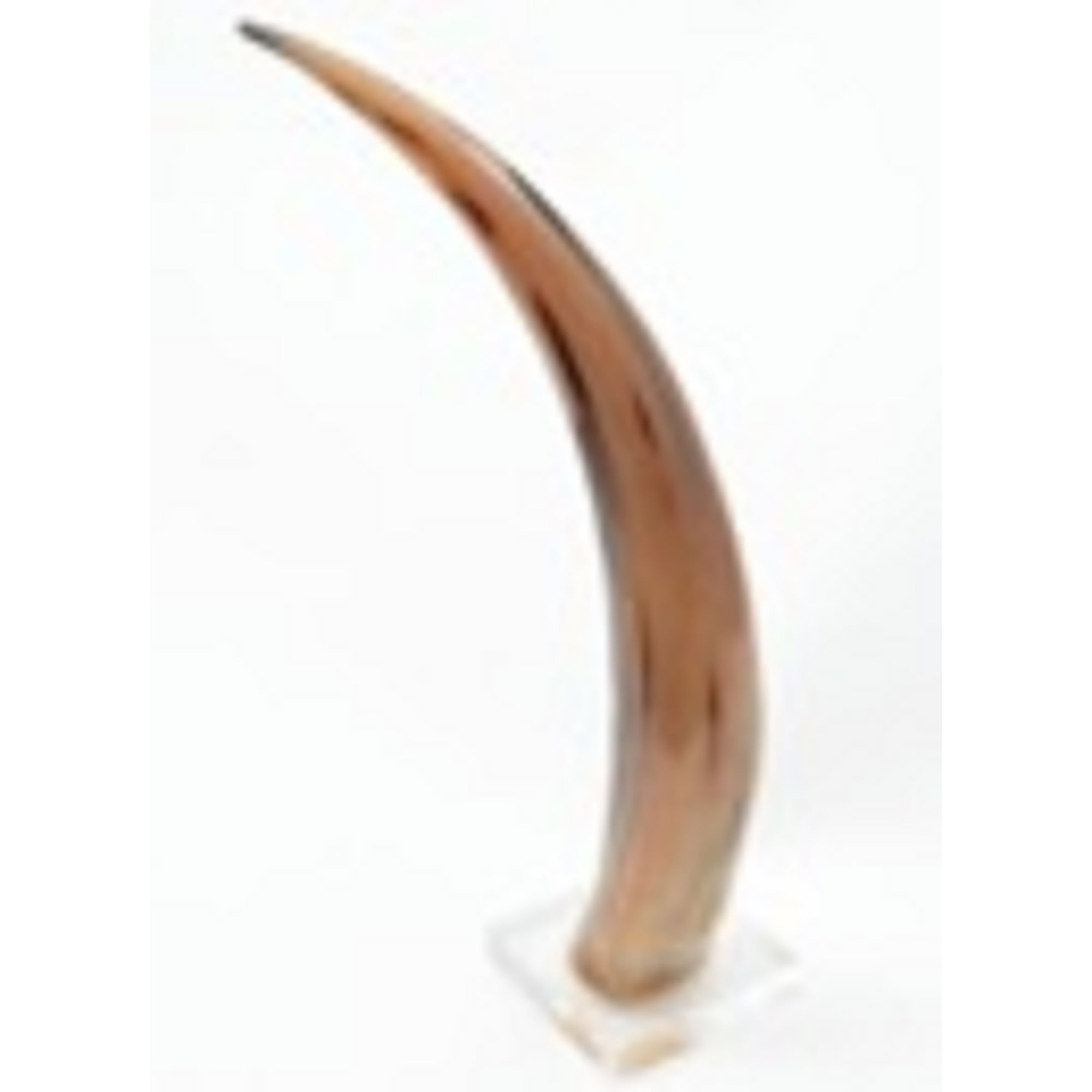 BIDK Home Portico Curved Horn Decoration - 21" - Brown - Walmart.com