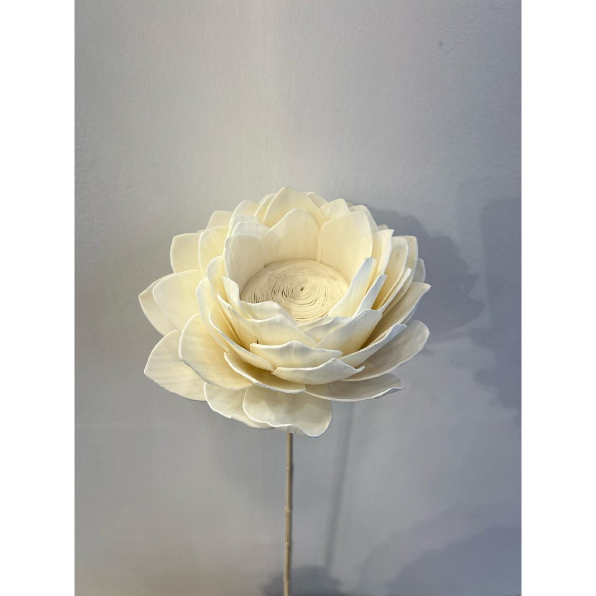 BIDK Home Shola Lotus Flower Artificial Stem Spray - 39.5" - Beige ...
