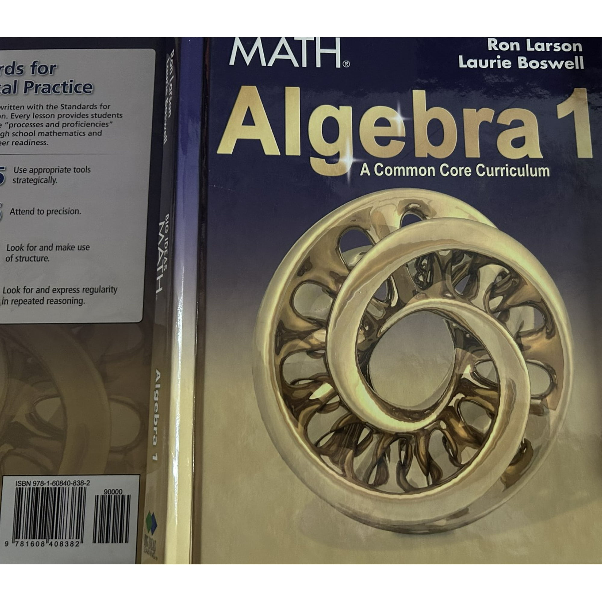 Algebra 1 Math Books