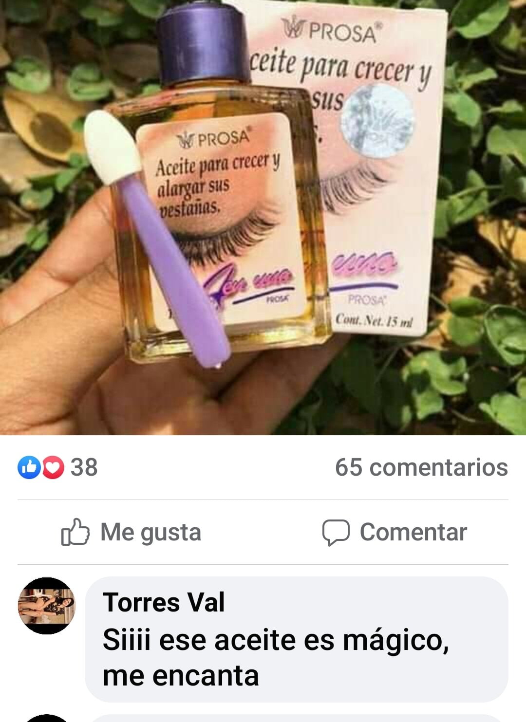 BIG LASHES PROSA ACEITE PARA PESTAAS 15ML ACELERA EL CREMIENTO DE LAS ...