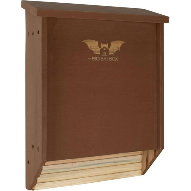Free Shipping! BIGBATBOX - 2-Chamber Bat Houses for Outdoors - Premium ...