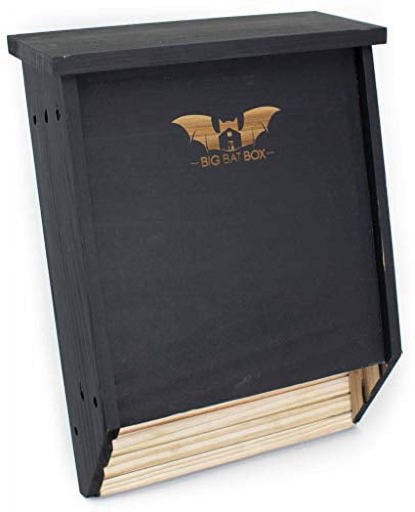 BIGBATBOX - Outdoor Bat House Habitat Kit - Proven Design for ...