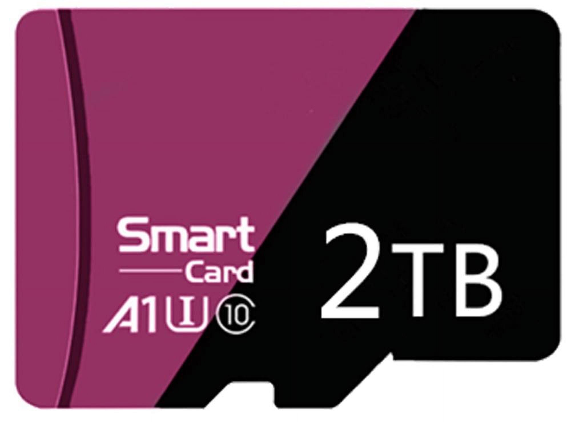 BIGPIGWORLD 2 TB Micro SD Flash Memory Card with Adapter - Walmart.com