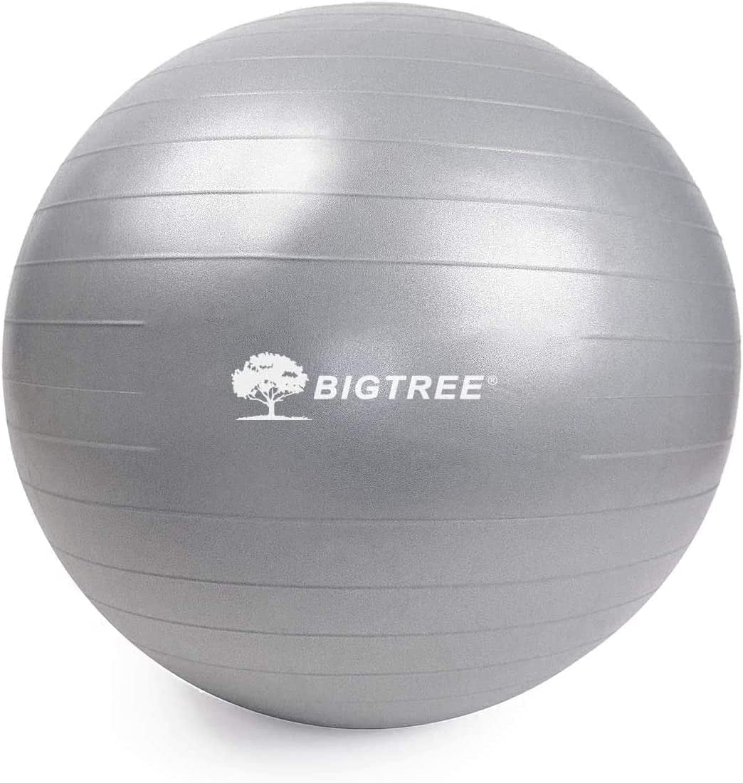 Bigtree 25.5'' Anti-Burst Inflatable Exercise Ball, Gray - Walmart.com