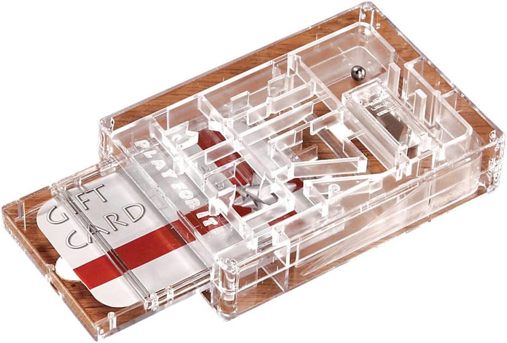 BILZ Money Puzzle - Brain Teasing Maze for Cash or Gift Cards - Perfect ...