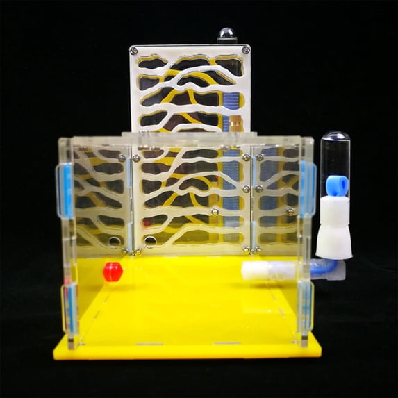 BIMZUC DIY T-Design Feeding Area Acrylic Farm Insect Villa Mania House ...