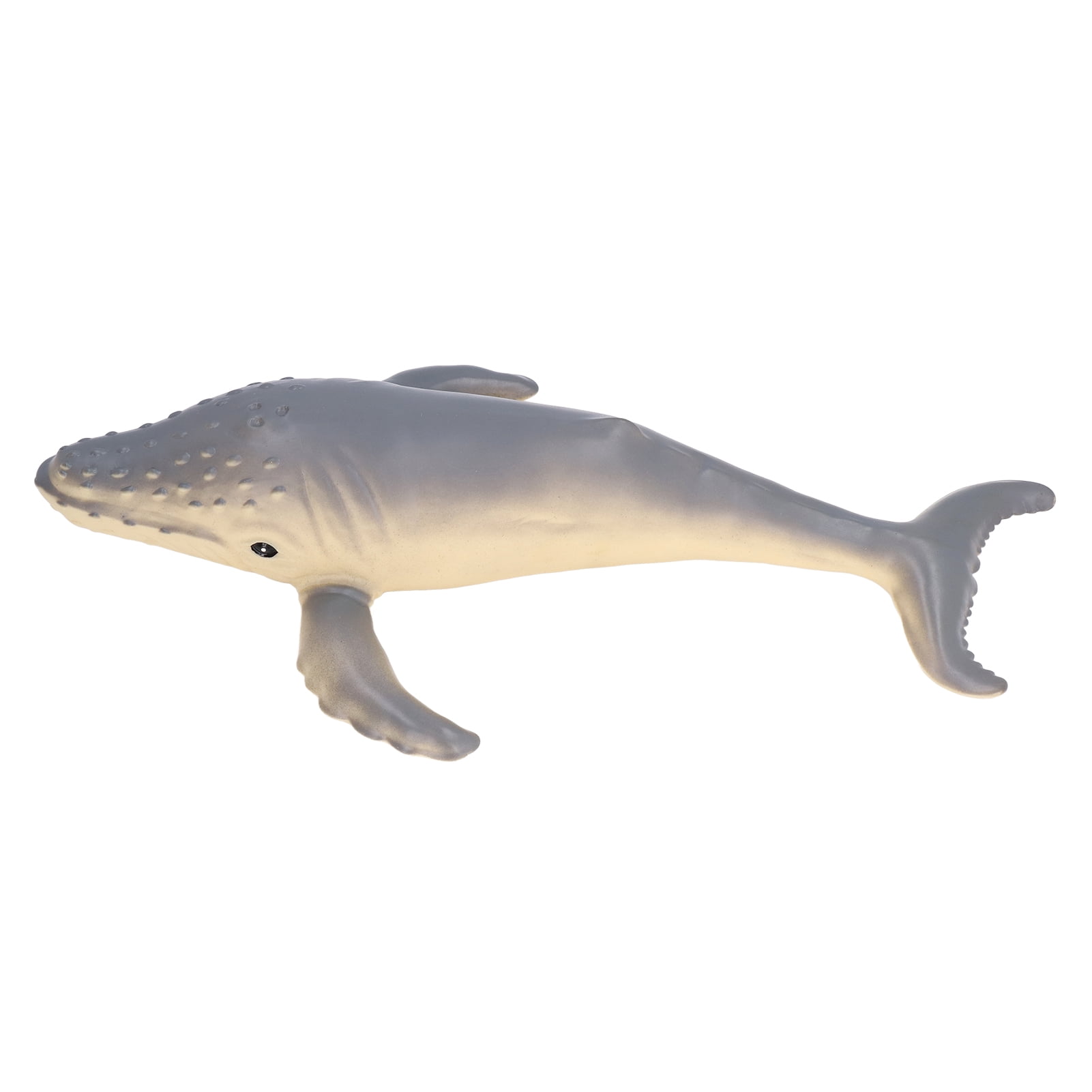 BIMZUC Educational Humpback Whale Toy Emulational Ocean Animal Model ...