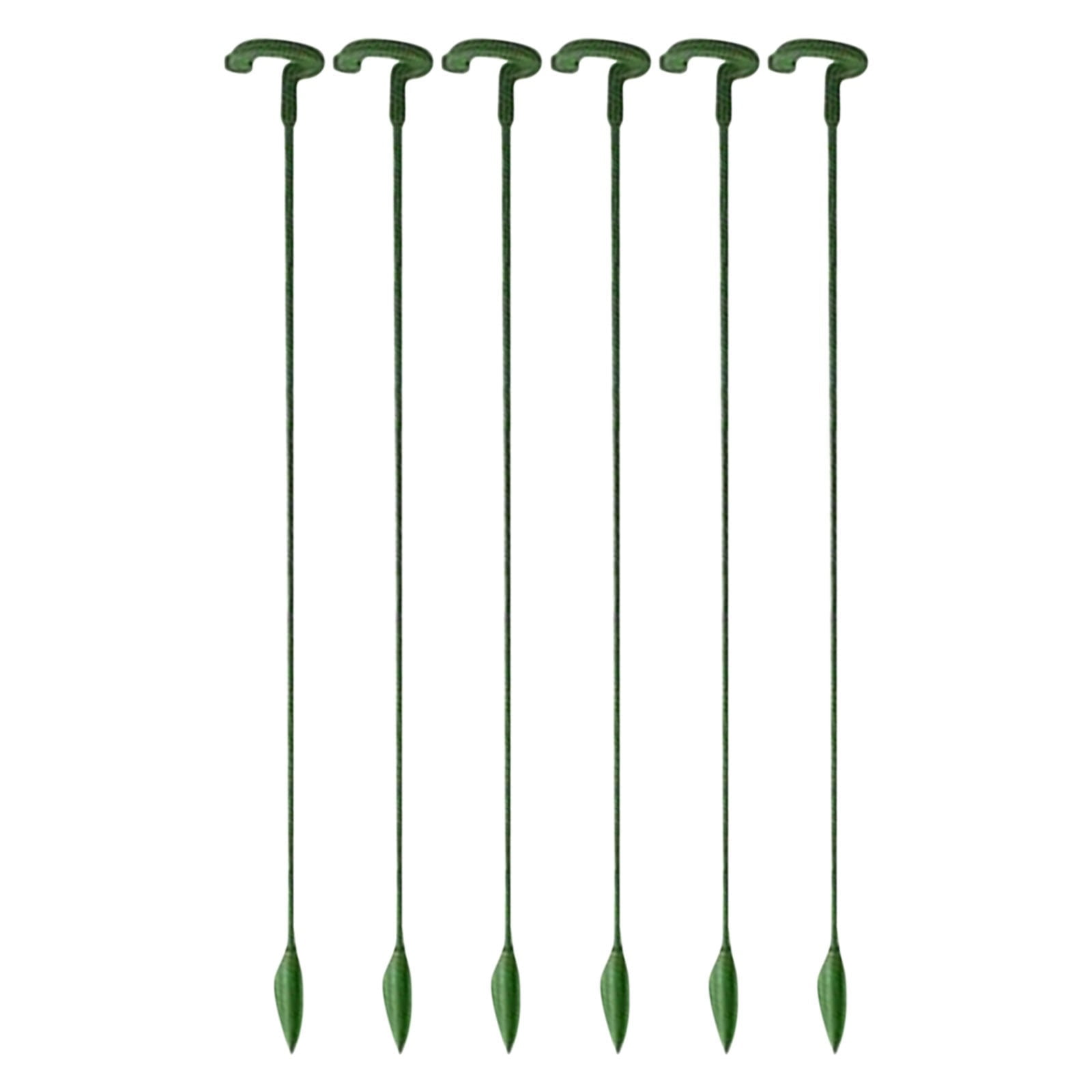 BINGLI 6PCS Plant Support Stakes, Upgrade Plant Support Garden Stakes ...