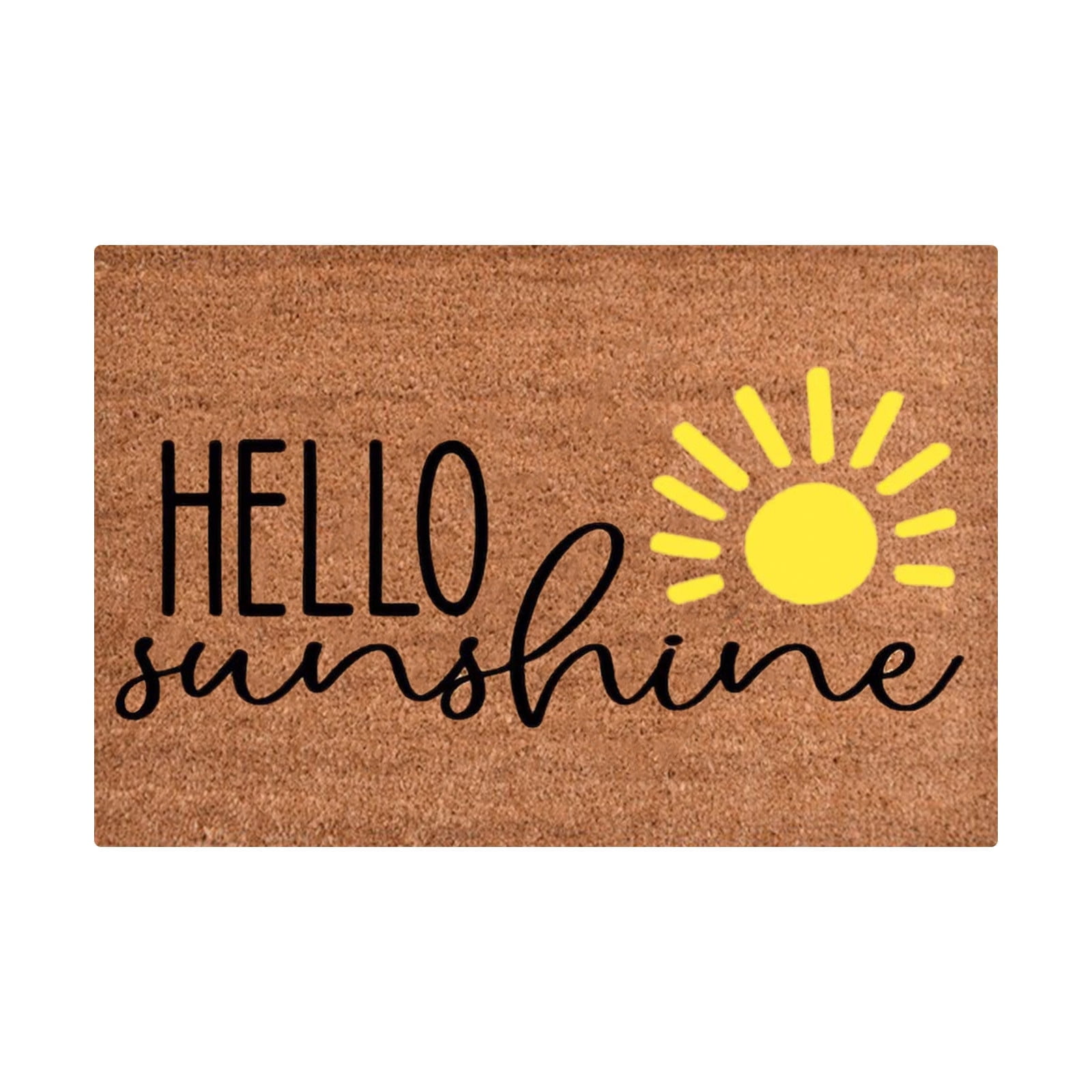 BINGLI Summer Welcome Sign Hello Sunshine Doormat Funny Cute Doormat ...
