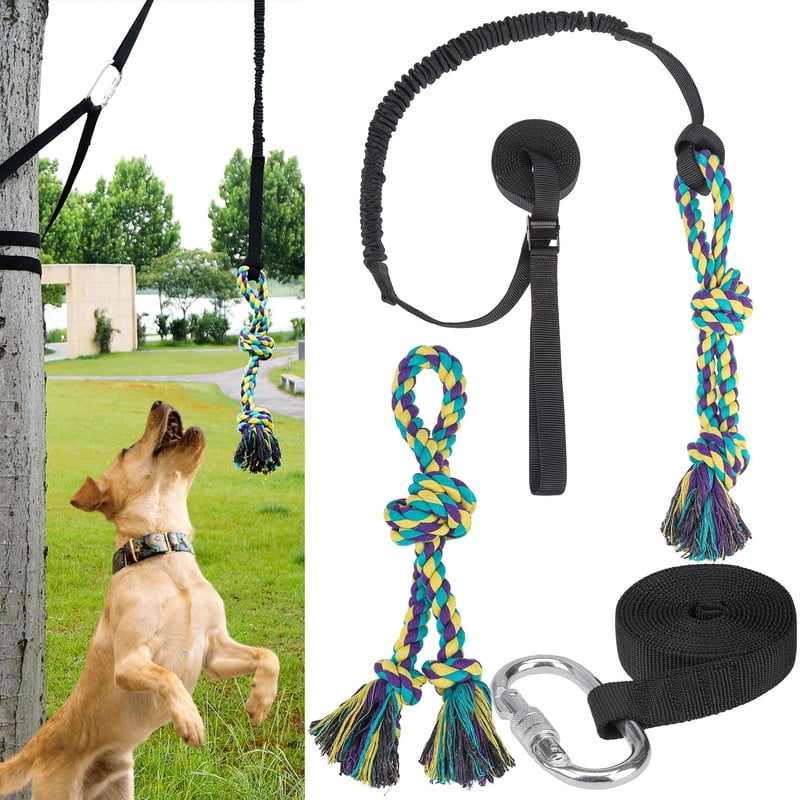 BINGPET Outdoor Dog Hanging Bungee Tug Toy,Heavy Duty Tether Tug of War ...