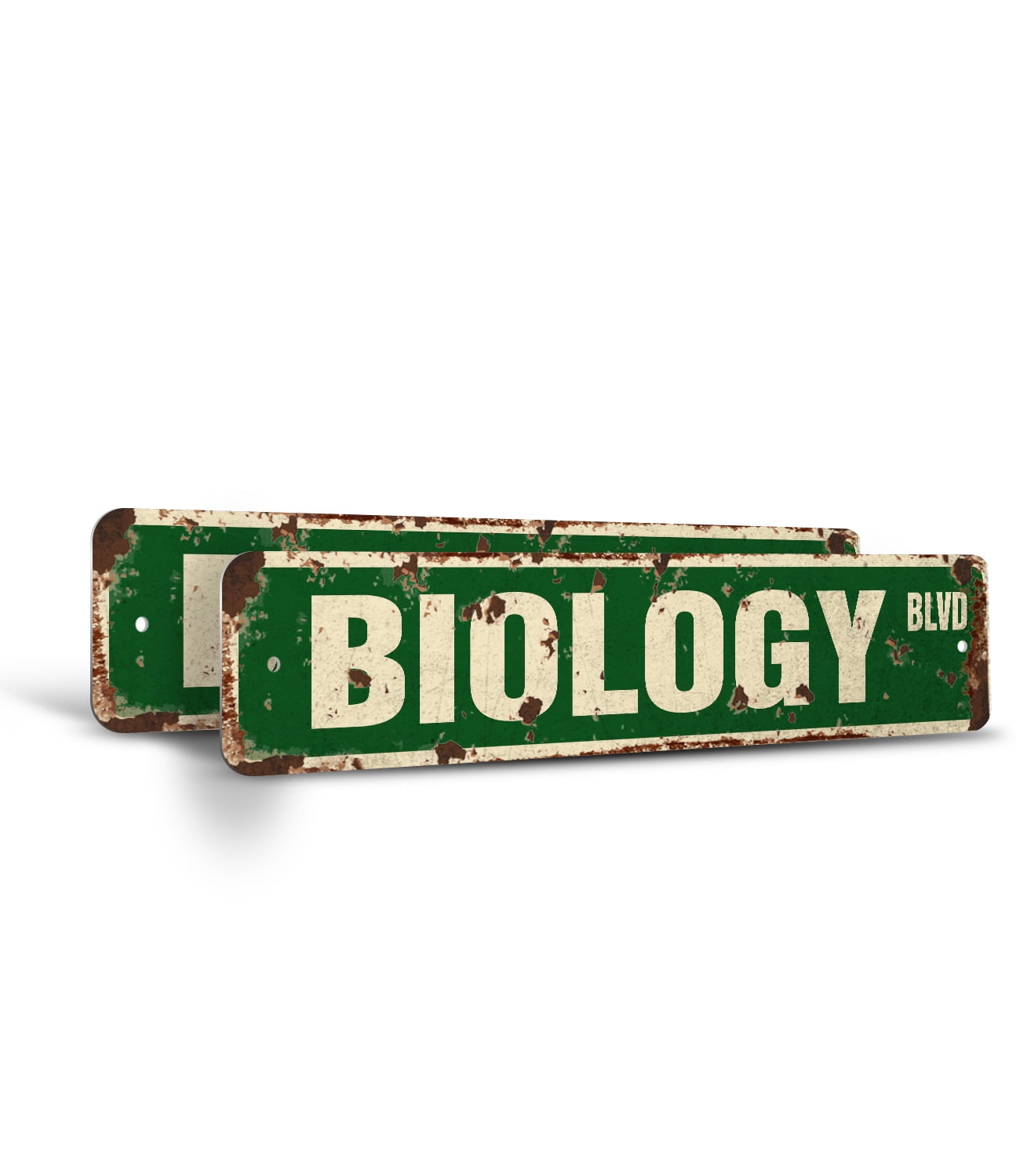 BIOLOGY Vintage Style Rustic Street Sign – (2 Pack) Teacher Professor ...