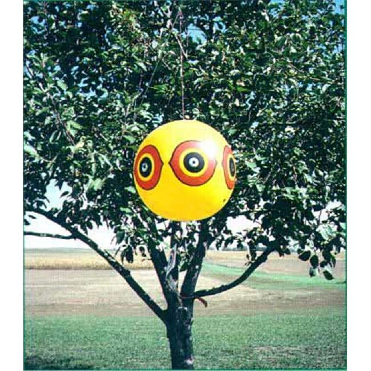 BIRD-X INC Scare-Eye Balloons, Yellow/Black/White 3 Pack - Walmart.com
