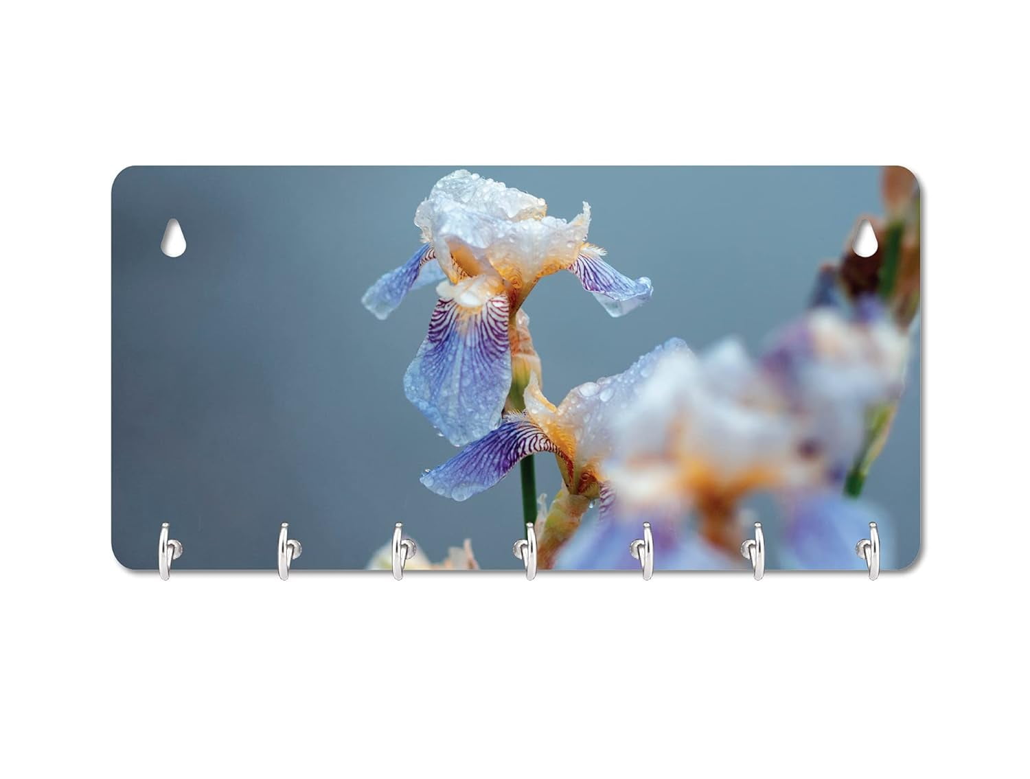 BIRDS MIND Beautiful Art Flowers Printed MDF Key Holder 7 Hooks Wall ...