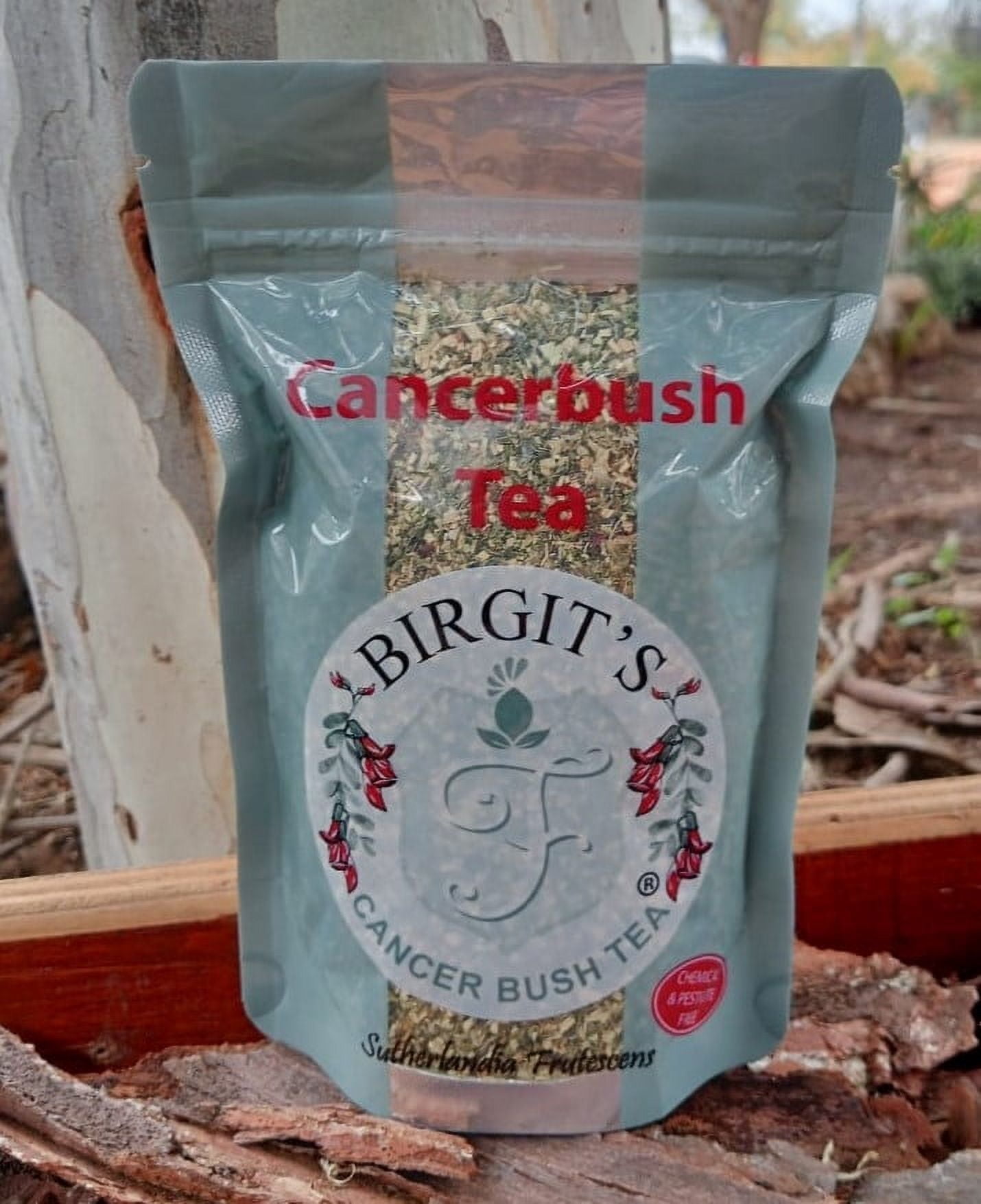 BIRGIT's Cancer Bush Tea (Sutherlandia Frutescens) - Immune Support ...