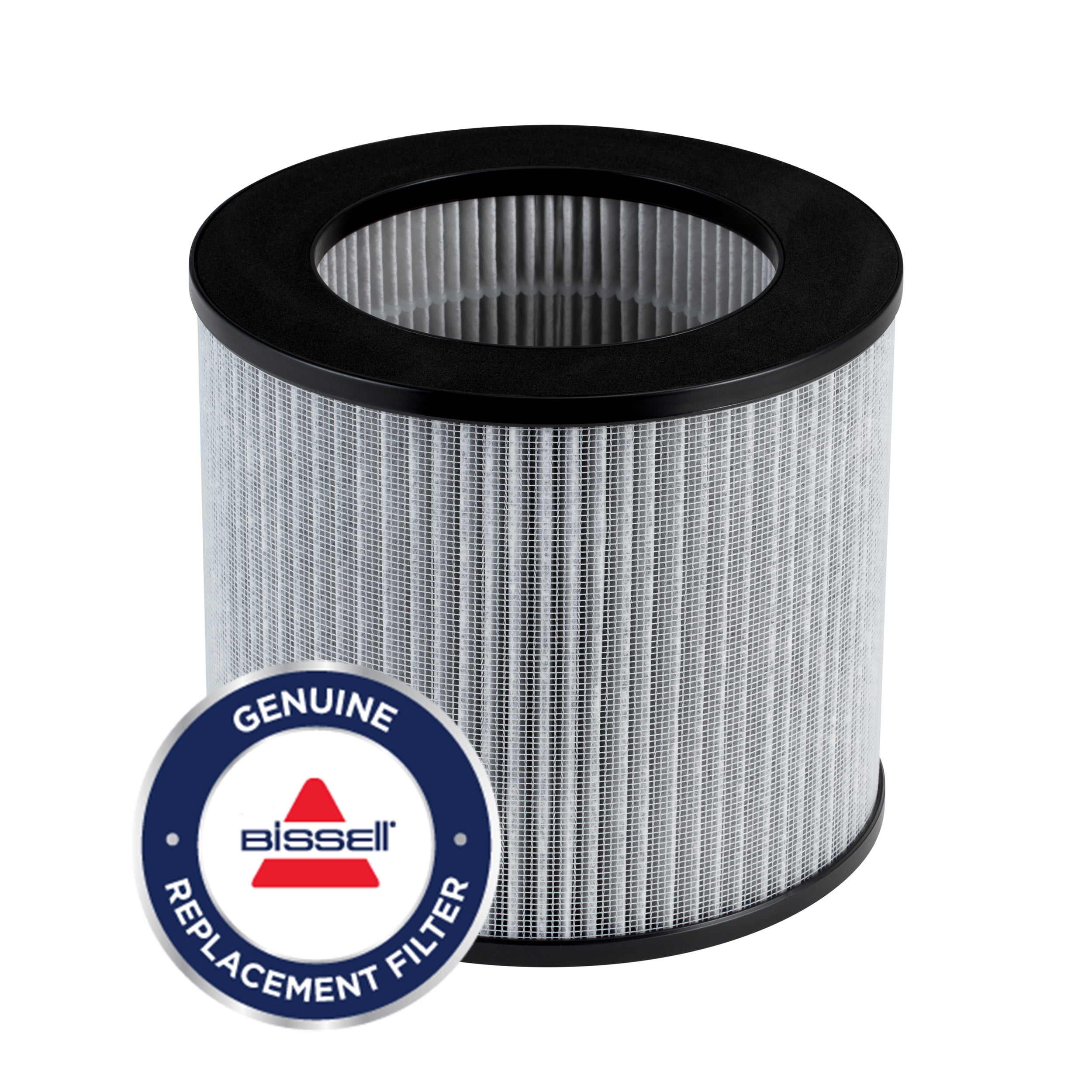 BISSSELL MYair High Efficiency Replacement Filter, Black - Walmart.com